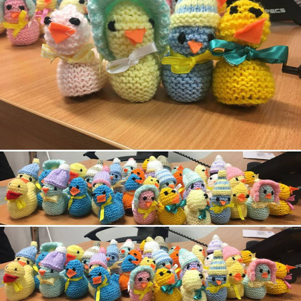 Knitted Chicks for Francis House | ELMC