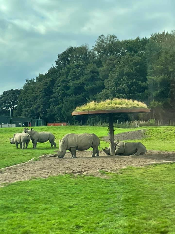 Trip to Knowsley Safari Park - The East Lancashire Masonic Charity