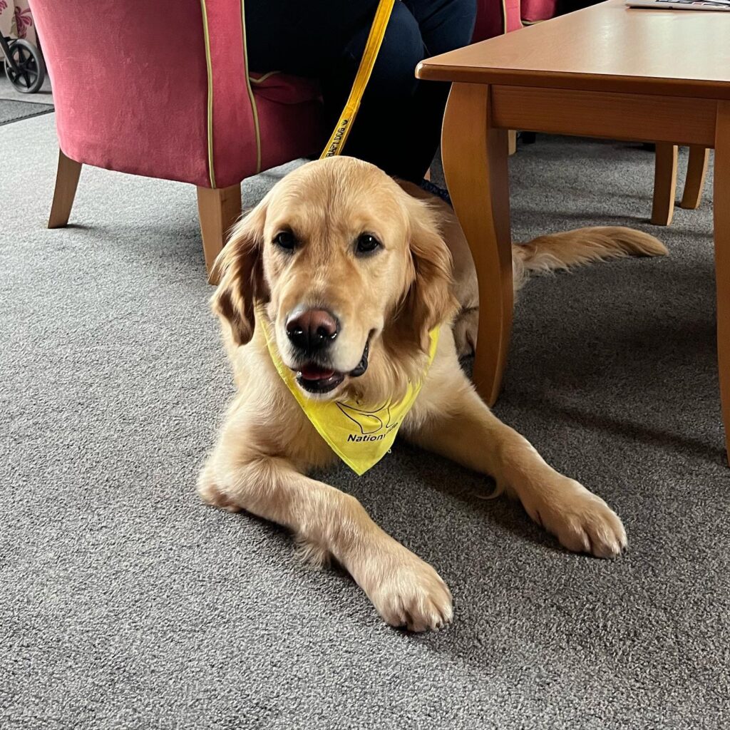 Therapy Dog Nationwide - The East Lancashire Masonic Charity