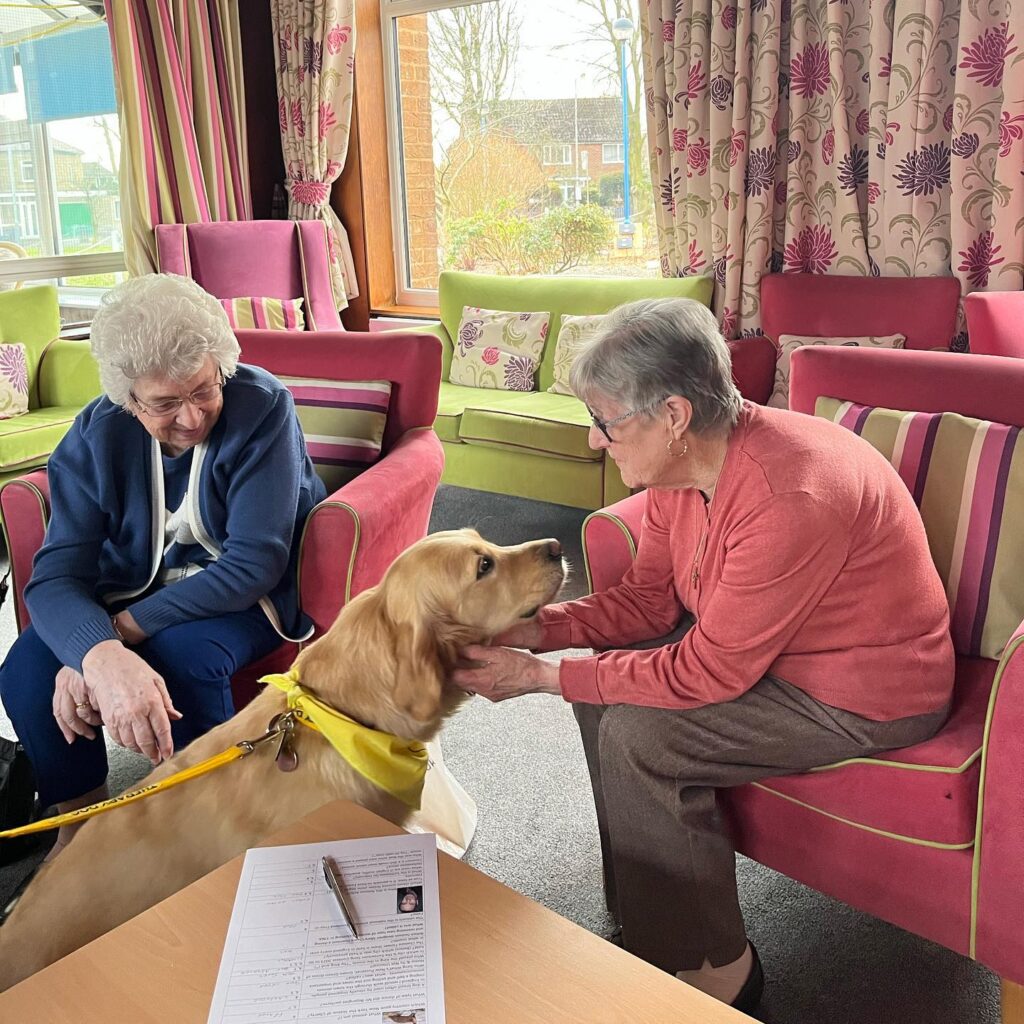 Therapy Dog Nationwide - The East Lancashire Masonic Charity
