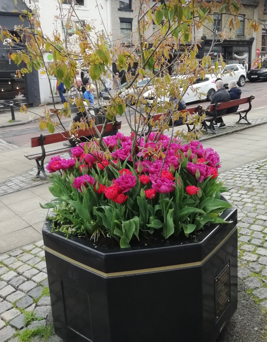 Clitheroe Town Centre in Bloom | ELMC