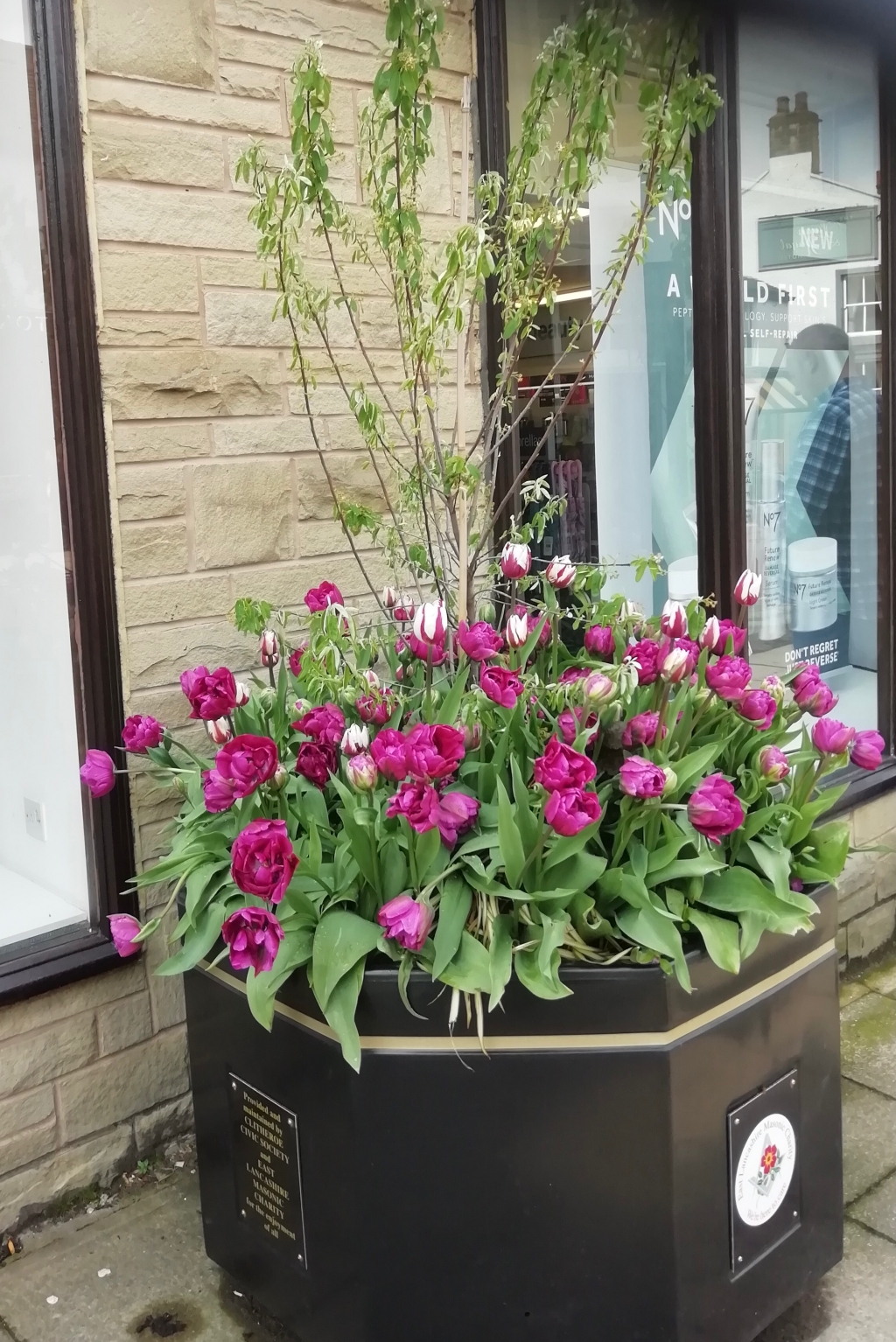 Clitheroe Town Centre in Bloom | ELMC